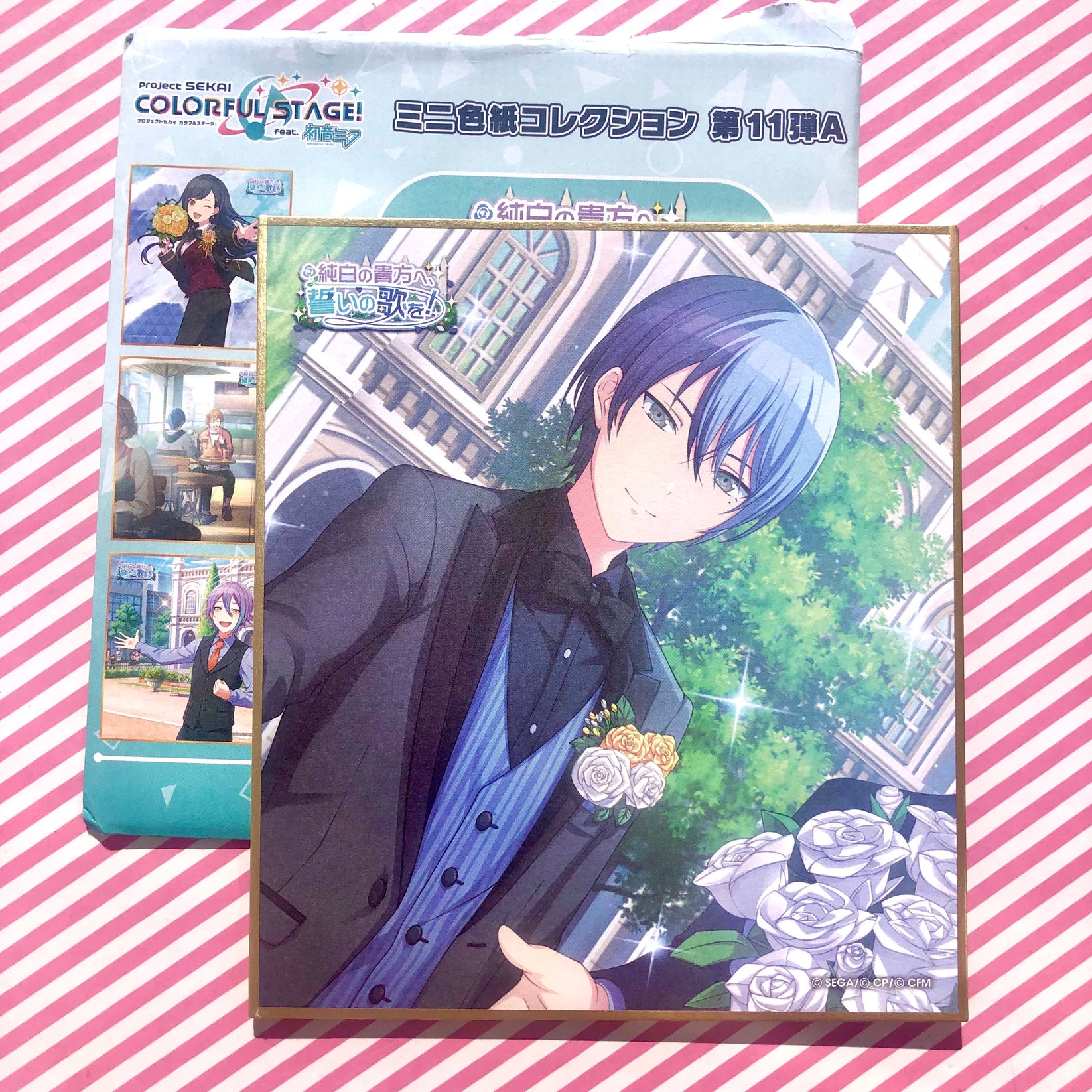 Aoyagi Toya Cardboard Art Cardboard Art Project Sekai: Colorful Stage ...